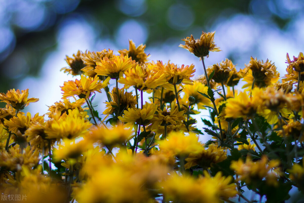 Adventures of 42 days in hospital with perianal abscess (female) - iNEWS