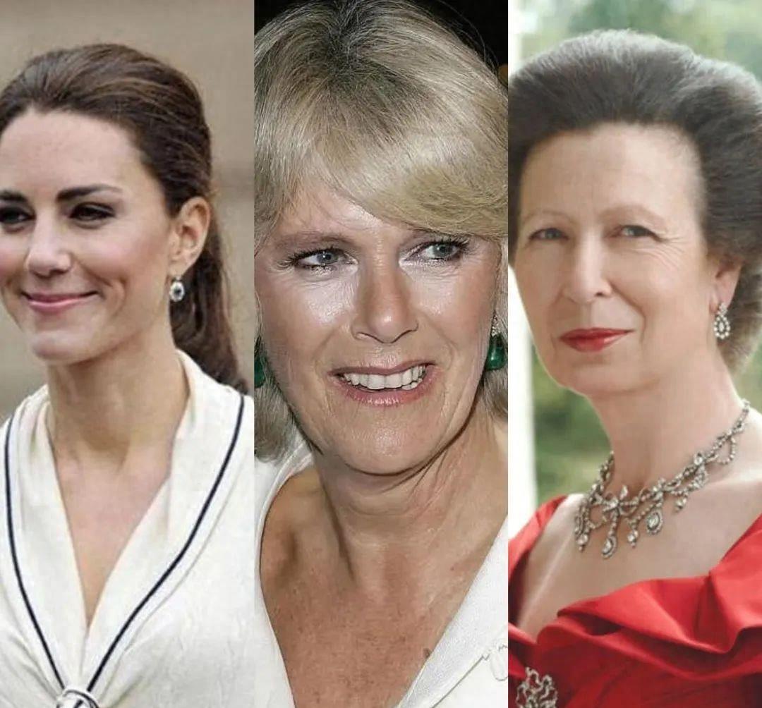 No need to do any superficial work! Princess Anne refused to invite ...