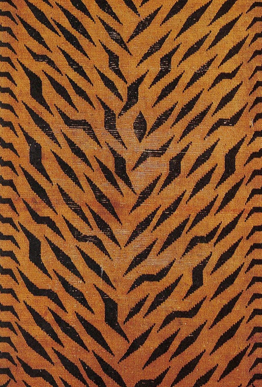 The Tiger Roars and the Wind Rises - Exploring the Beauty of the Tiger ...