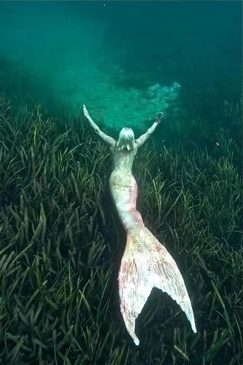 One of the world's unsolved mysteries, are mermaids real?The mystery ...