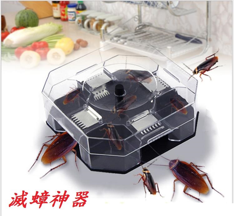 Still beating cockroaches with your feet and slippers?The consequences ...