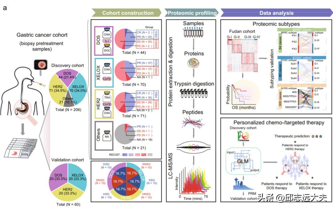 Proteomic characterization of gastric cancer response to chemotherapy ...