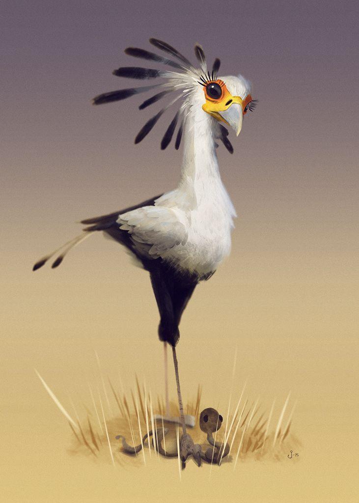 The poisonous snake killer, "Secretary Bird", looks noble and elegant ...