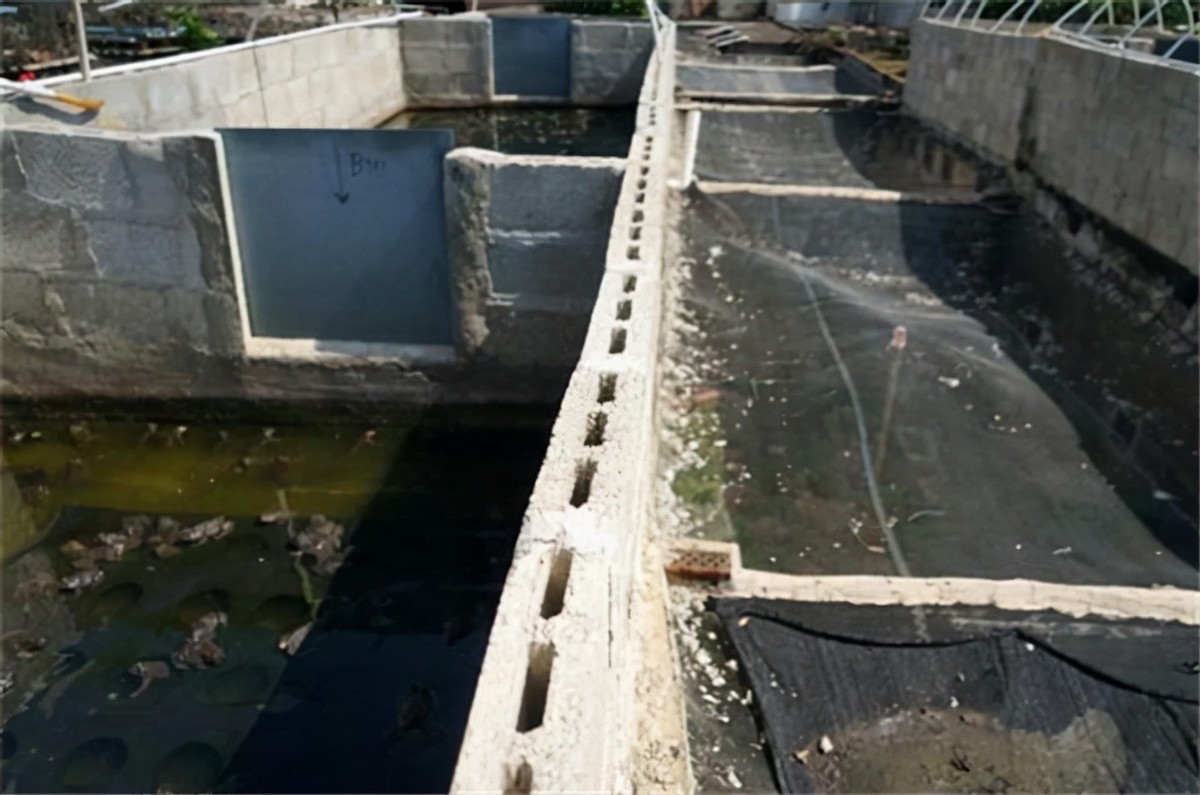 Snake-raiser in Guangxi: Snake bites are the most common and most ...