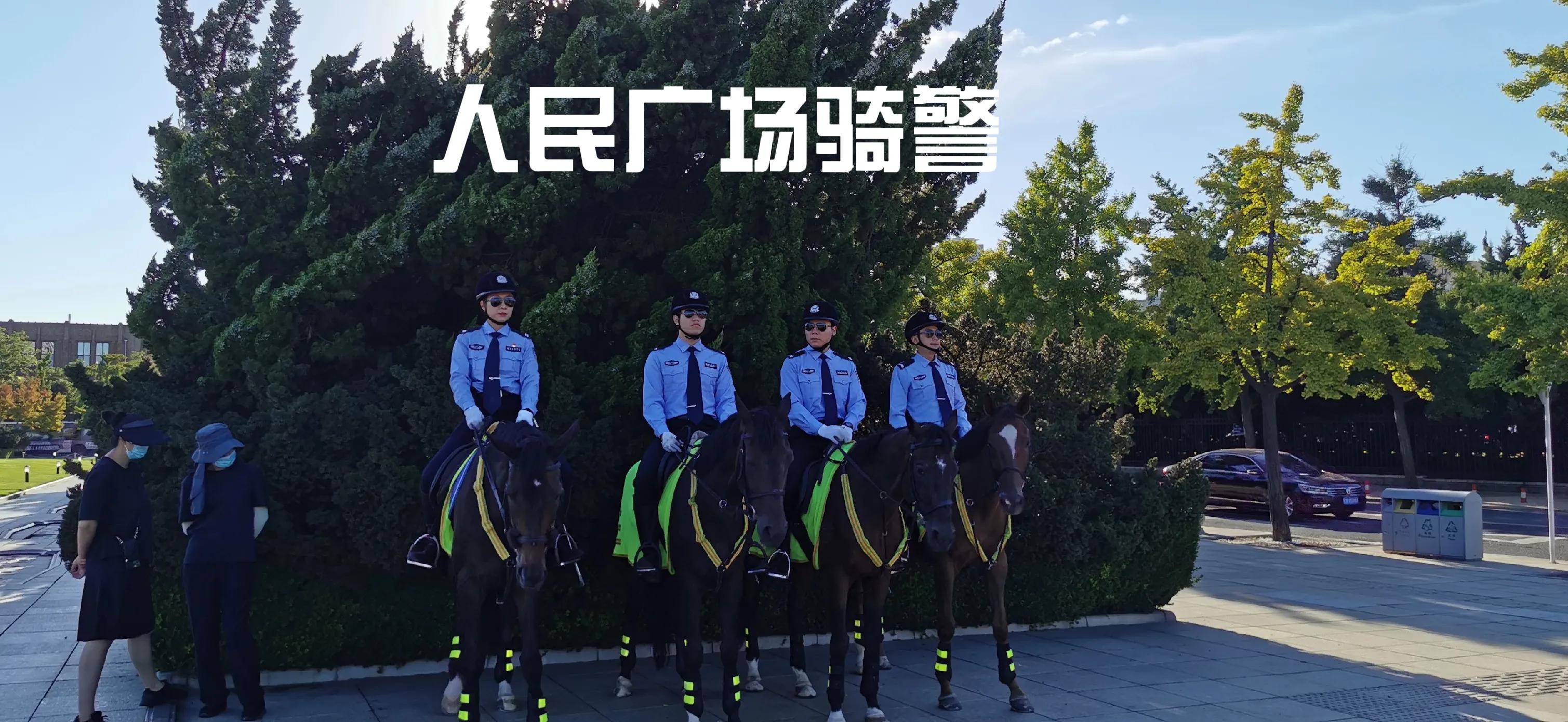 Dalian, you have always been beautiful - iNEWS