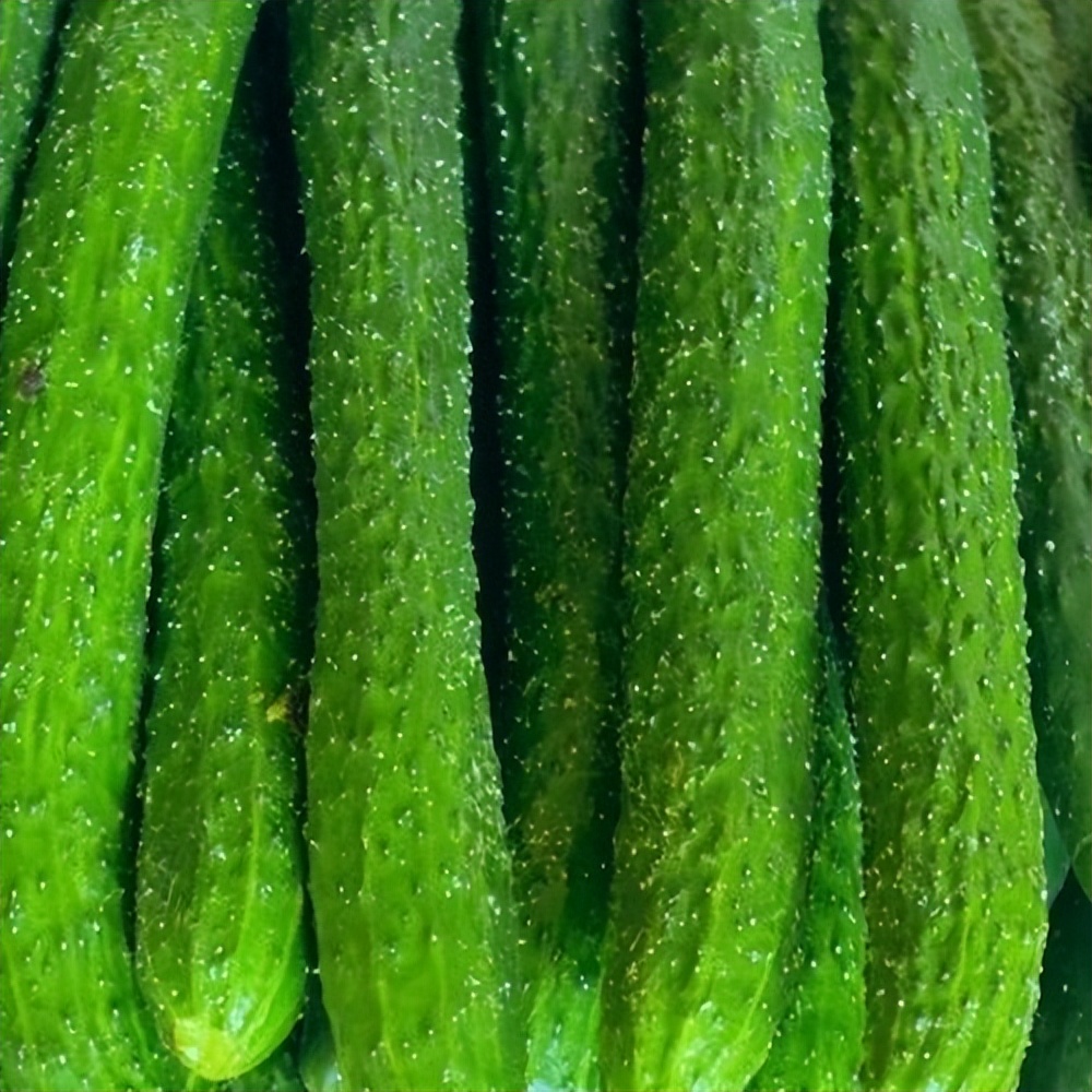 The skin of cucumbers is green, so why not call them "green melons" but ...
