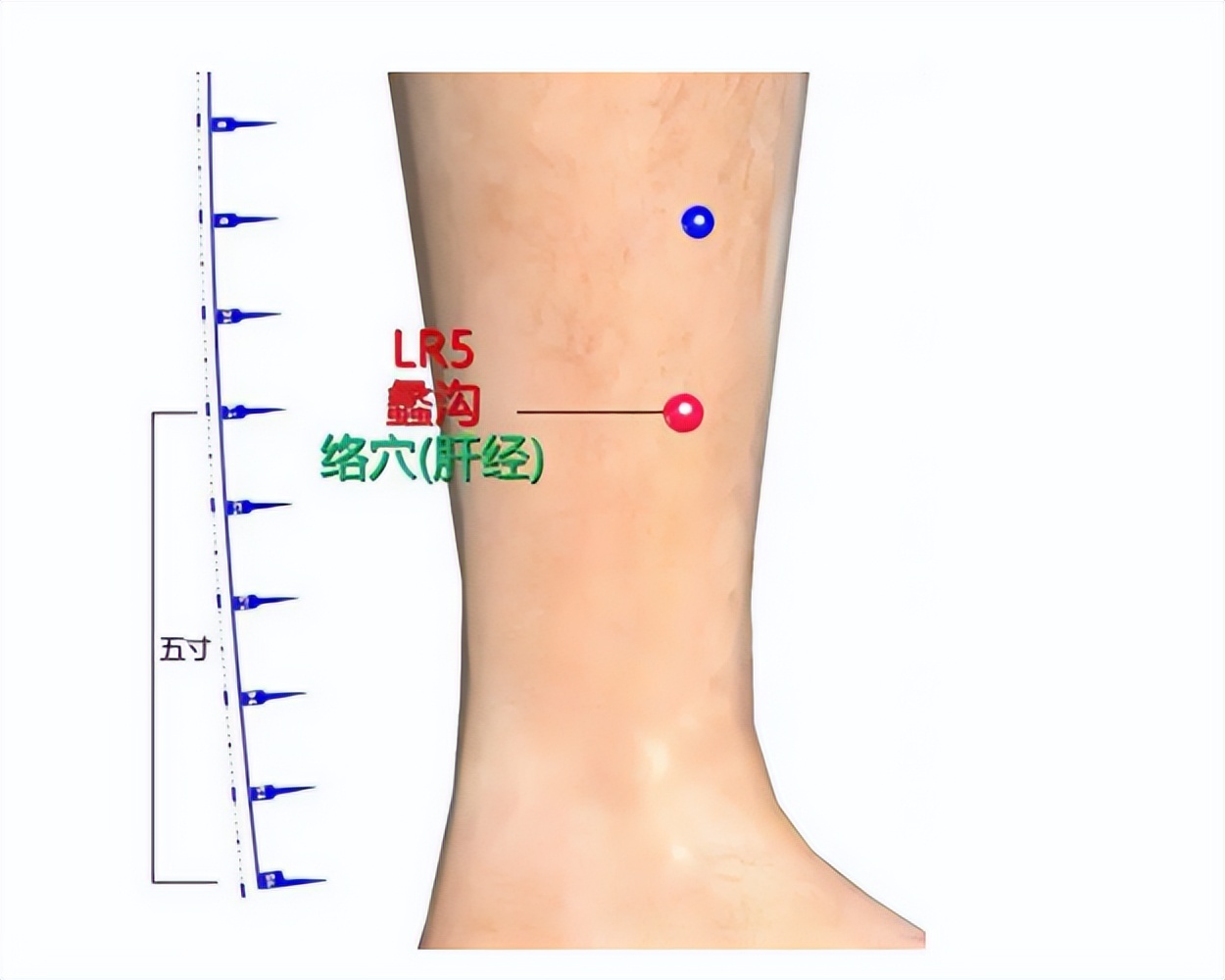 Ligou Point - Experience Point for Regulating Gynecological ...