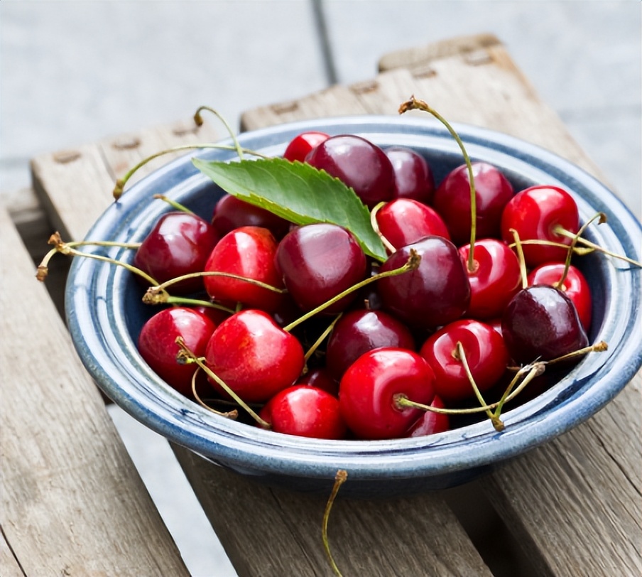 What is the history and development of German cherry planting, and what ...