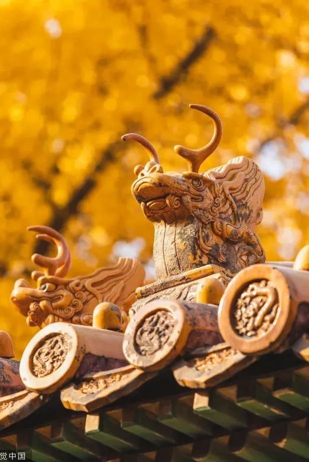 Autumn in Peiping (Beijing) is paradise - iNEWS