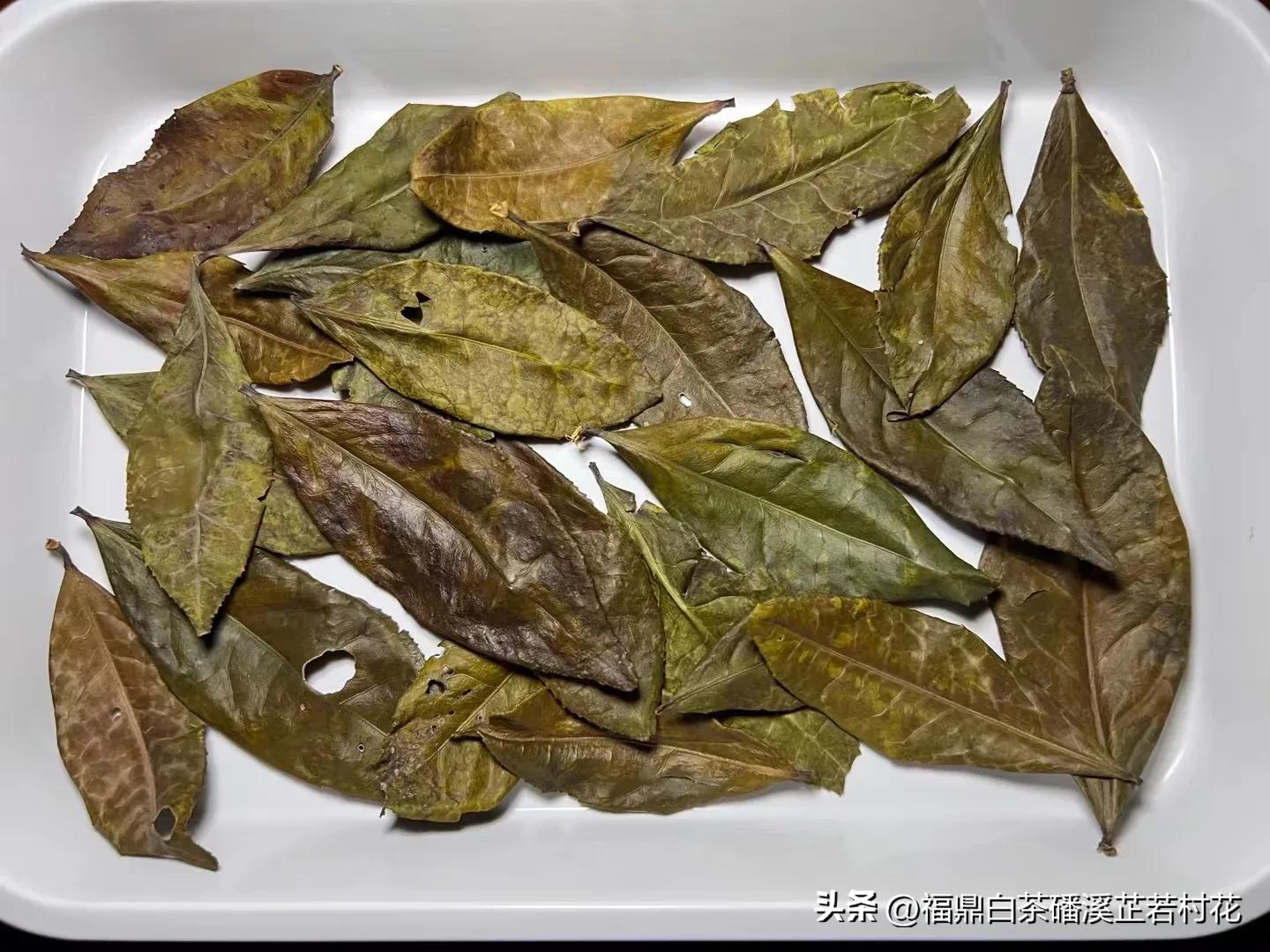 Do you know how white tea is pressed into cakes? - iMedia