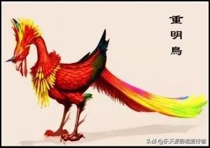 Nine Divine Birds in Ancient Chinese Mythology - iMedia