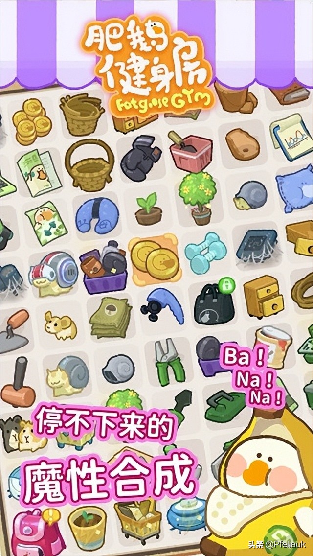 The latest version of Fat Goose Gym - iNEWS