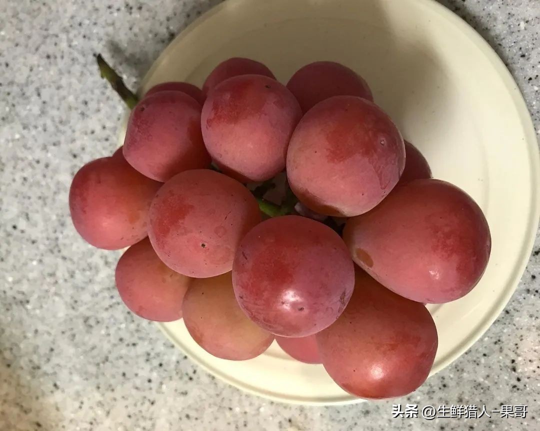 Queen Nina, romantic ruby, romantic red grape, who is the real king - iNEWS