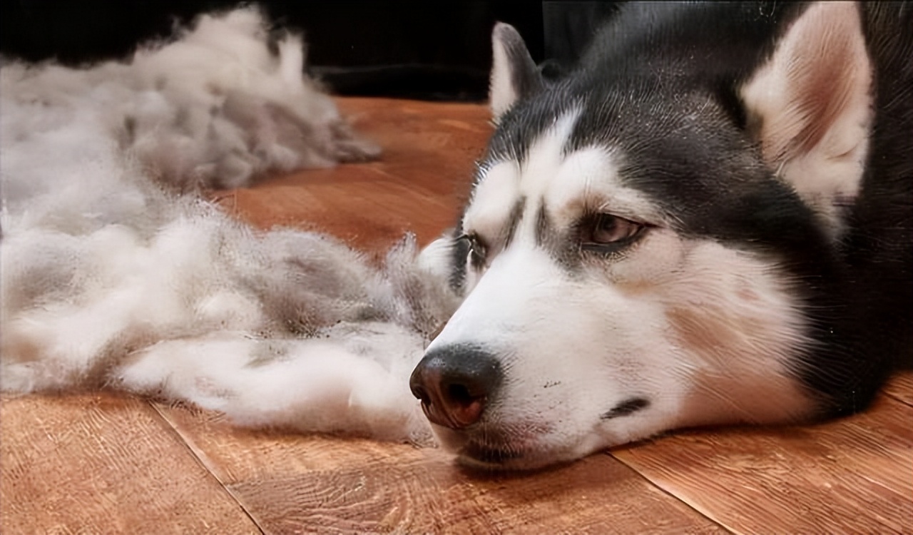 The house is full of lint?Learn these cleaning methods, and the lint ...