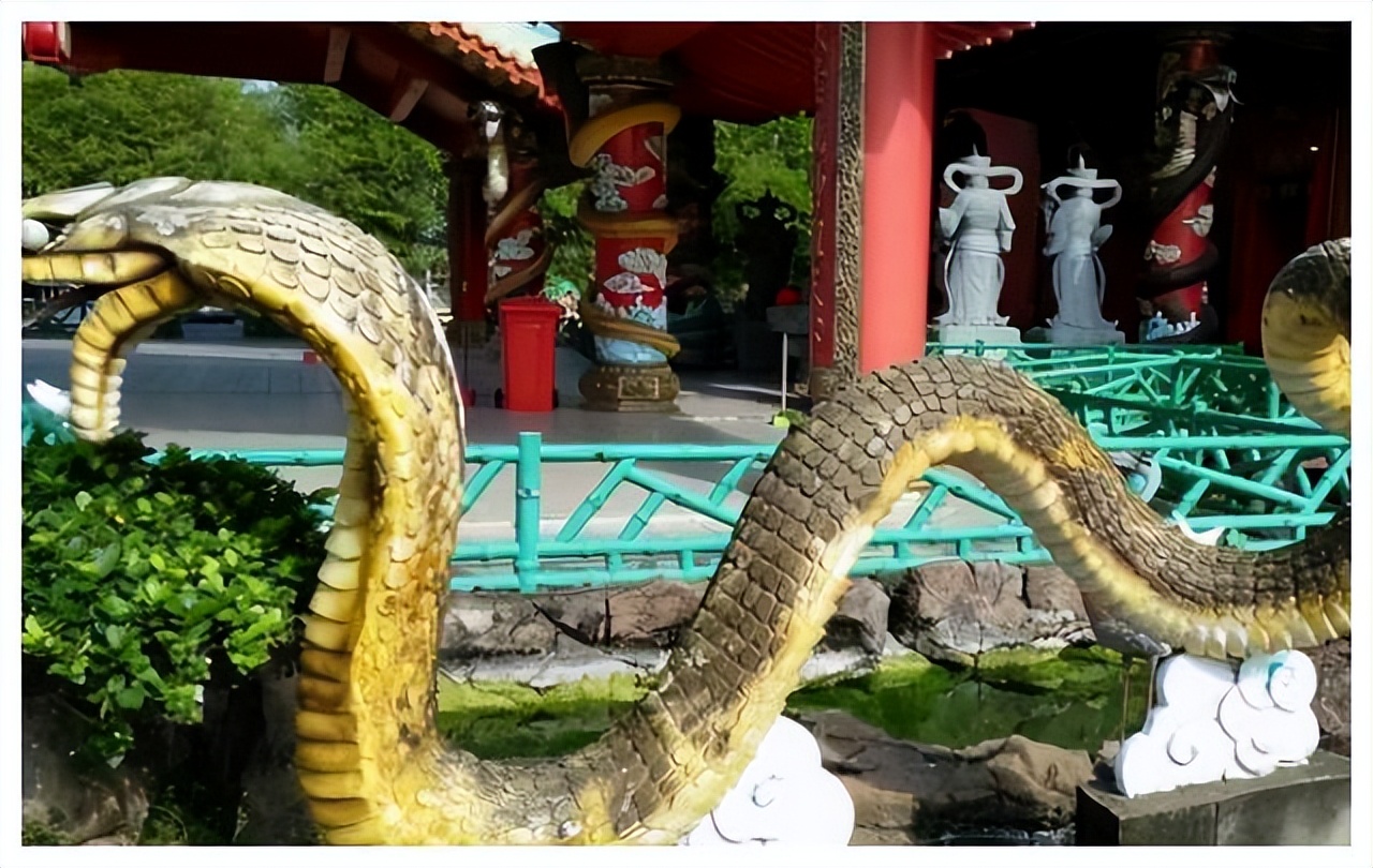 The only snake temple in the world, the temple is full of green snakes ...