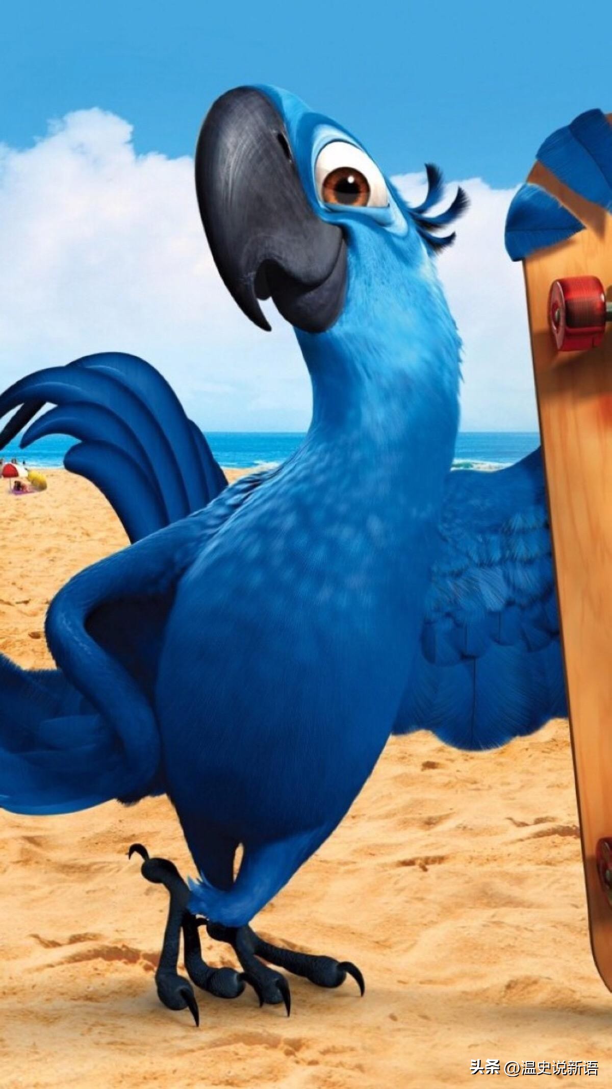 Appreciation and Analysis of Color Art in the Movie "Rio Adventure ...