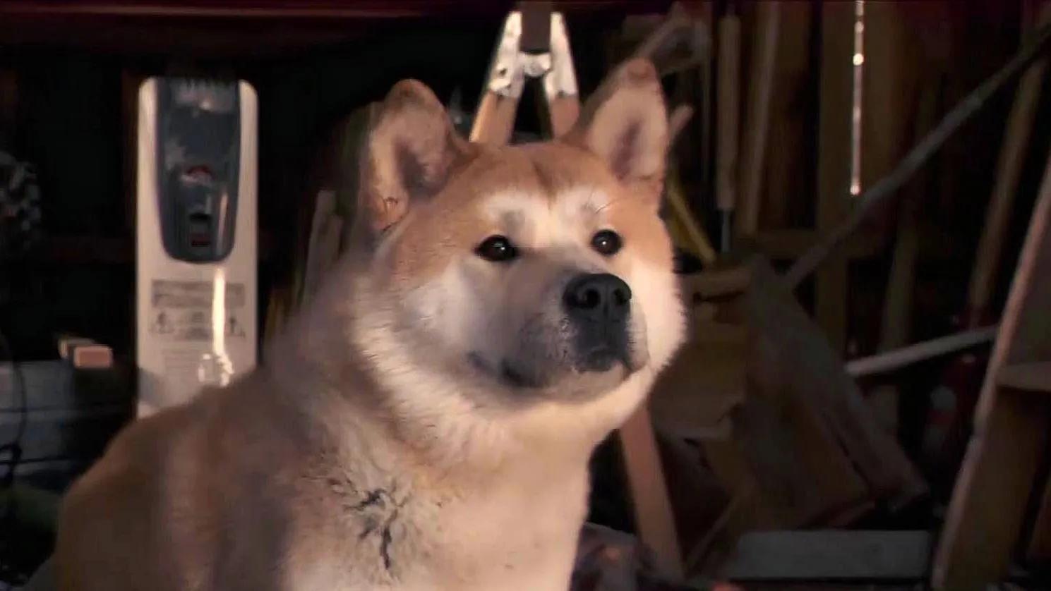 "The Story of the Loyal Dog Hachiko" - Love is Loyalty and Waiting - iMedia