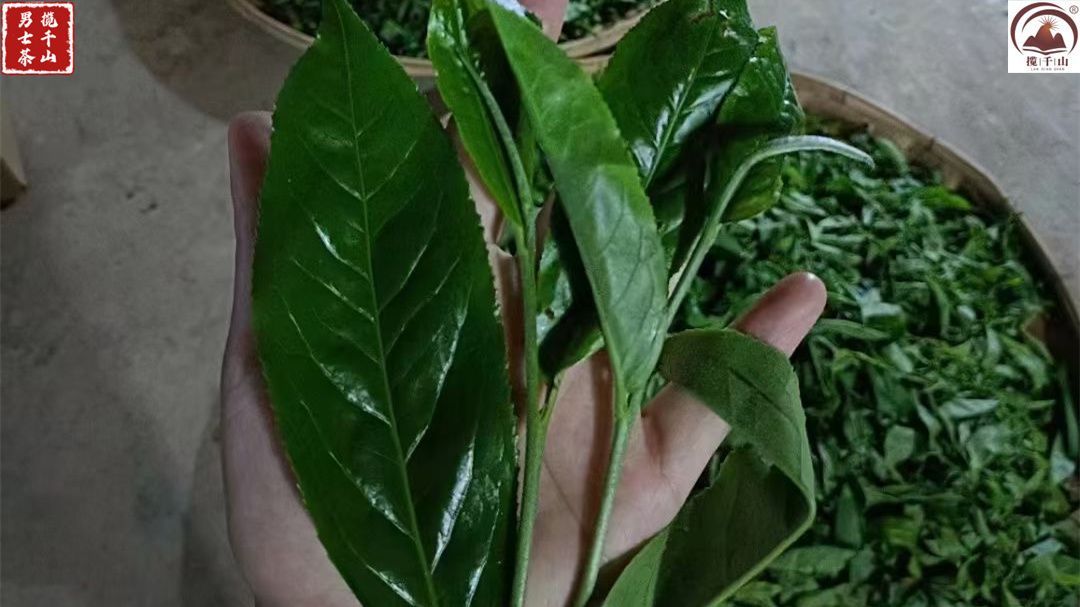 There are three heroes in Bangdong, and three treasures in Yongde! - iMedia