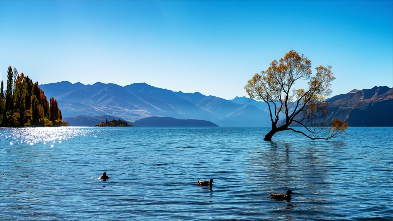 After failing in the imperial examinations, there was no way to seek an ...