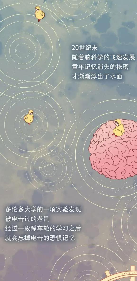 Why does the brain "lose" the memory before the age of 3?What did you ...