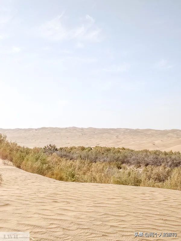There is only a desolate desert, no desolate life - self-driving Tarim ...