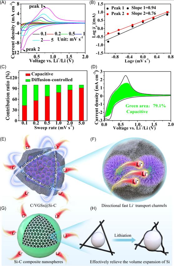 Southern University of Science and Technology Zhao Tianshou ...