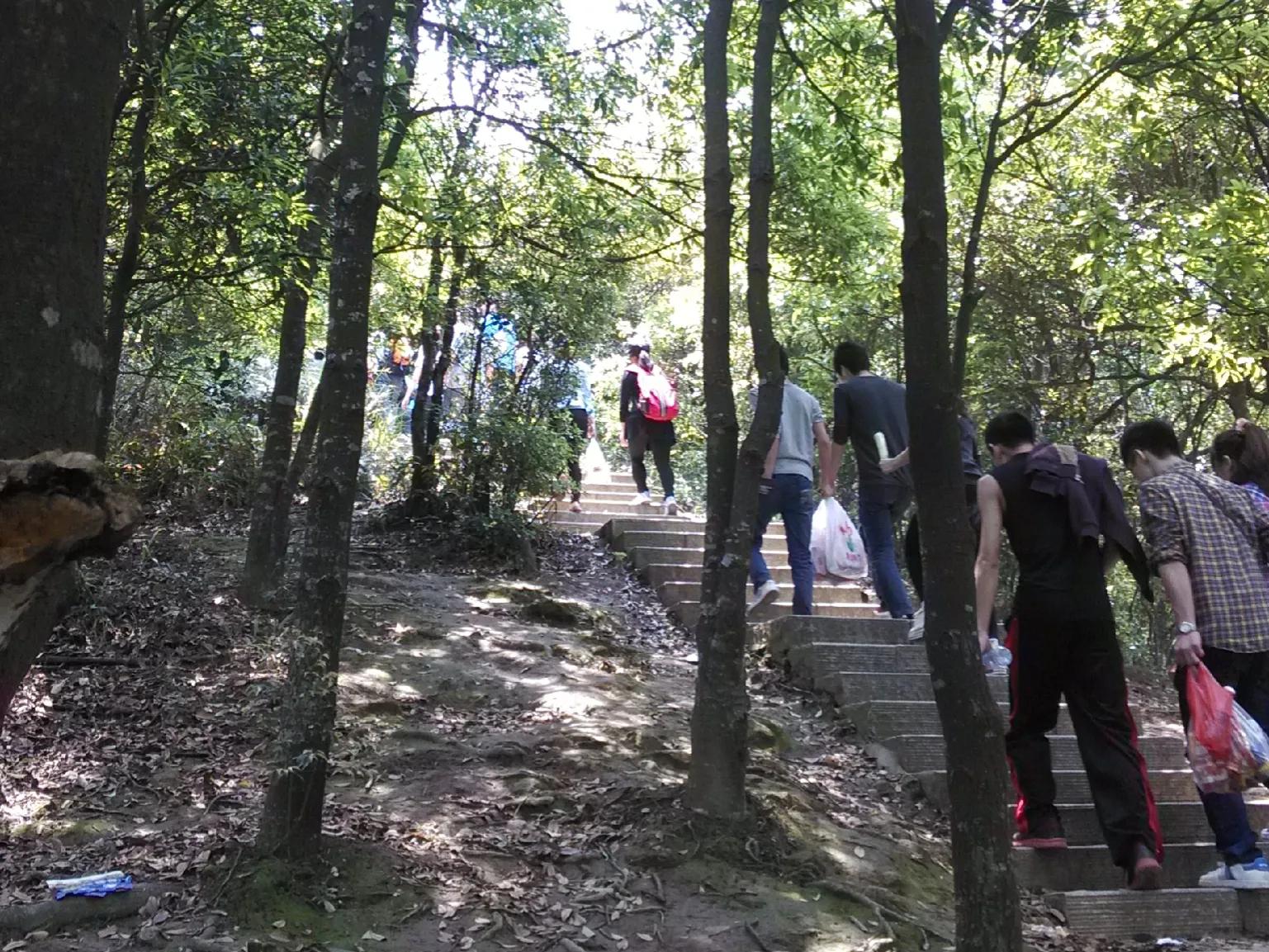 That summer, I climbed to the top of the first peak of Pengcheng - iNEWS