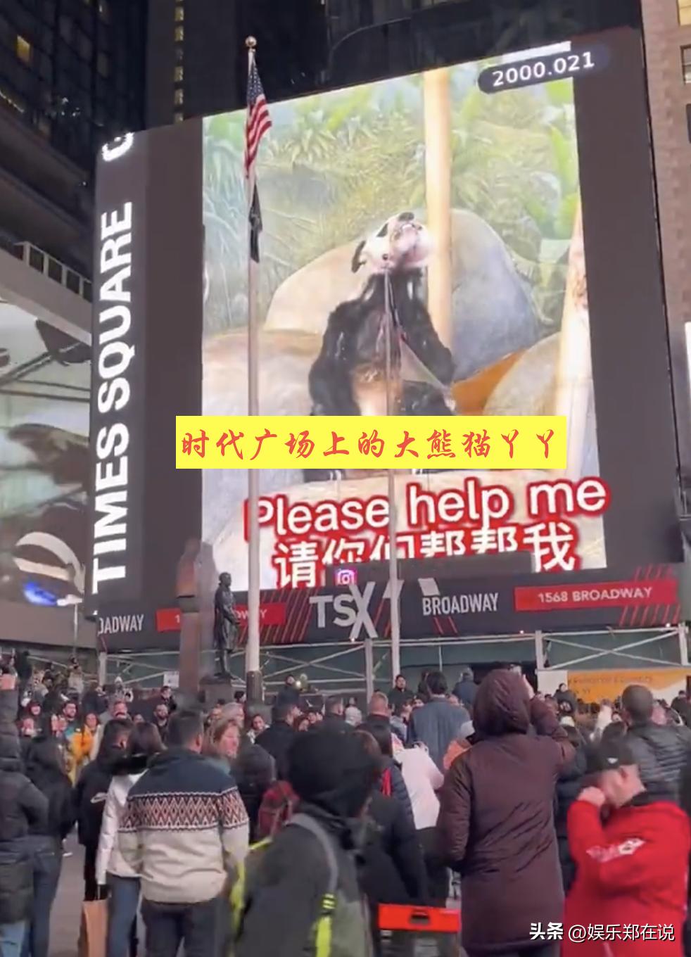 When the giant panda Yaya returned to China, Chen Qiaoen posted a post ...