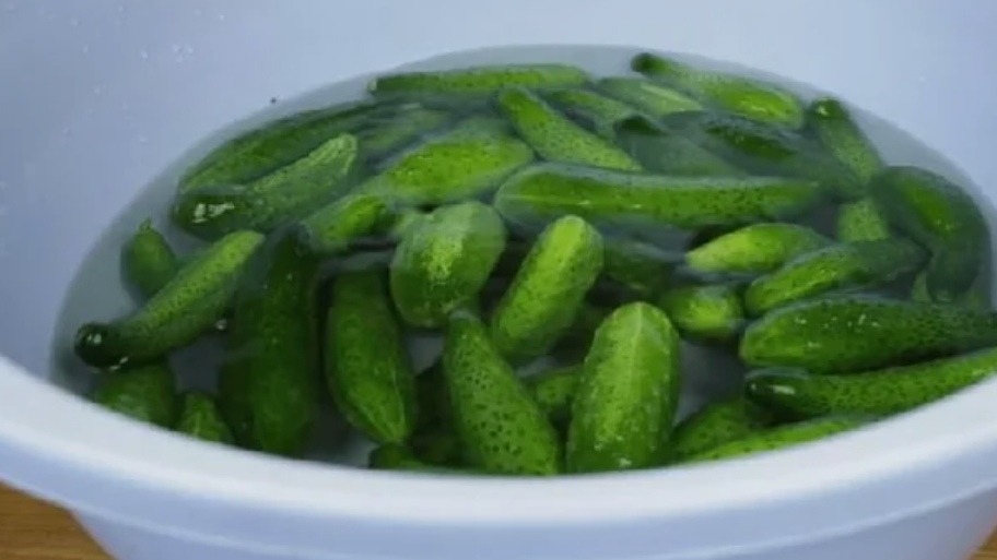 Two Favorite Russian Pickled Cucumber Recipes - iNEWS
