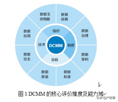 Interpretation of DCMM Data Management Capability Maturity Assessment ...