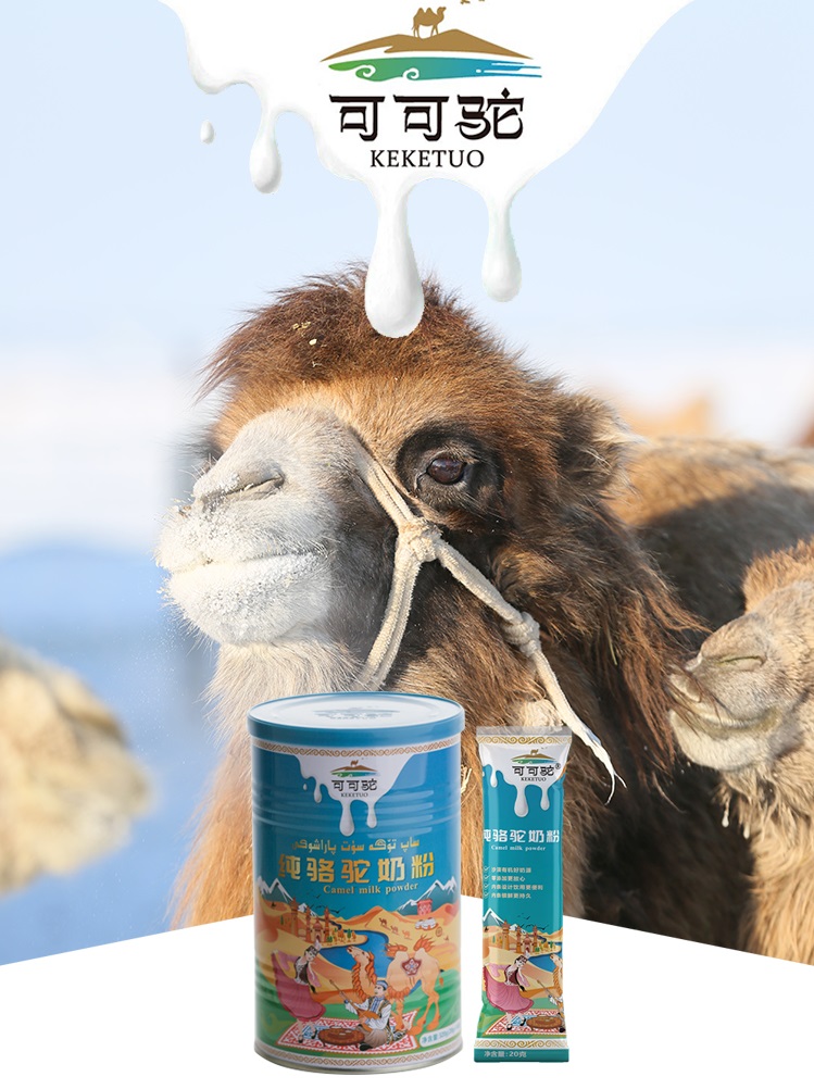 Is drinking camel milk powder good for the stomach? What are the health ...