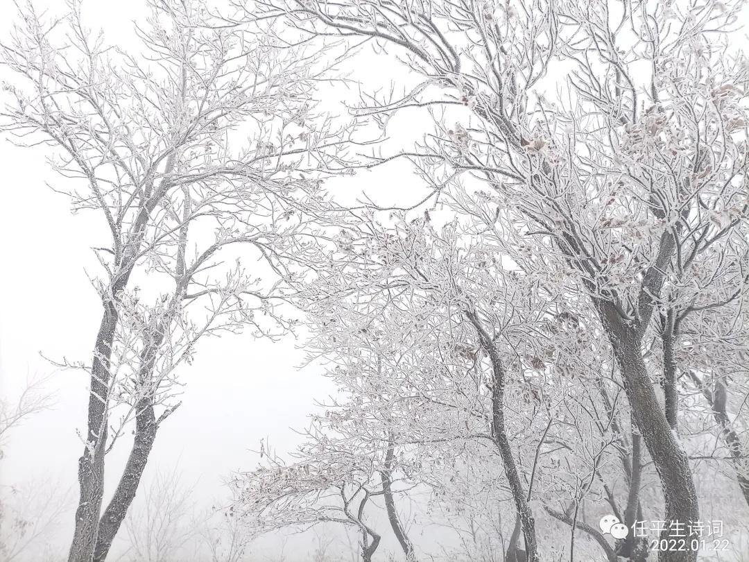 "Column" Ren Pingsheng's work: "Night Tour of the Palace, Snow" (China ...