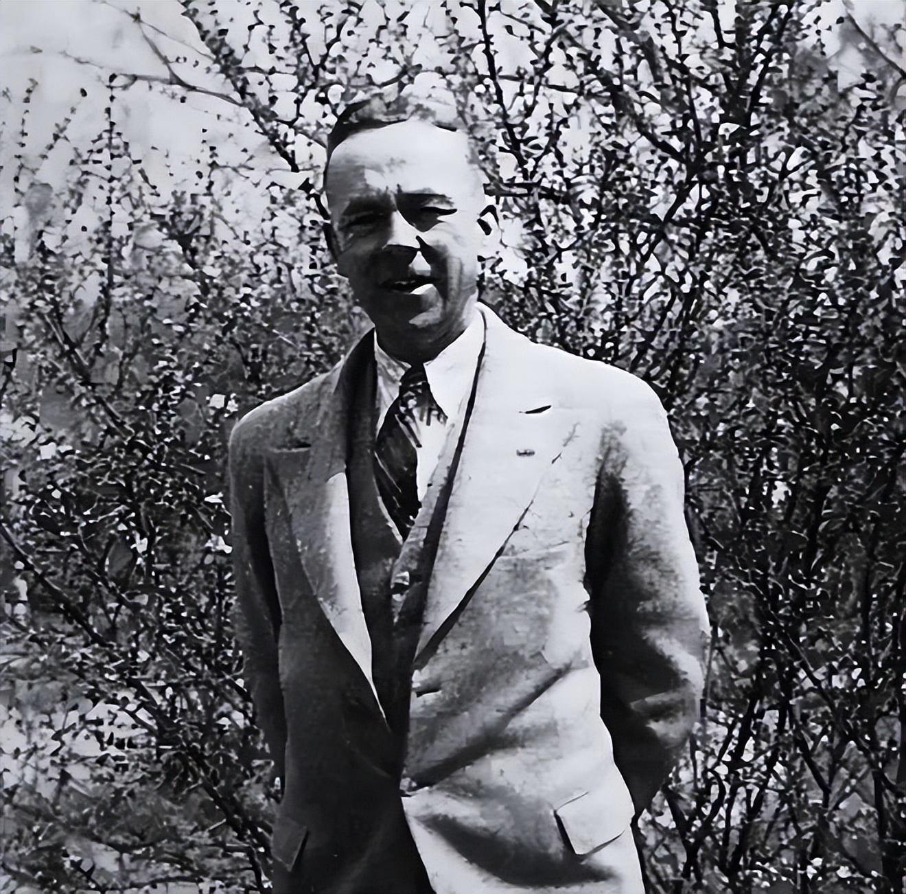 The truth about the disappearance of Chinese son-in-law Dashan - iMedia