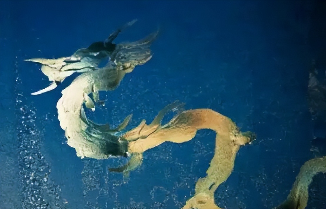 Is the legend of the discovery of a 12-meter giant dragon in the deep ...