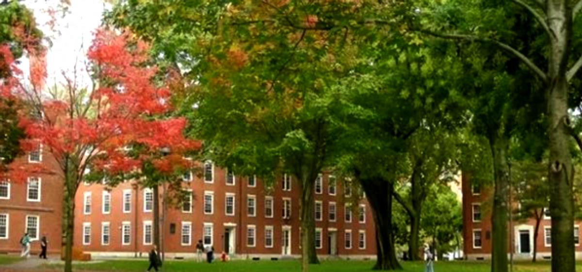 Another beautiful corrupt official was defeated: he is not an ordinary ...