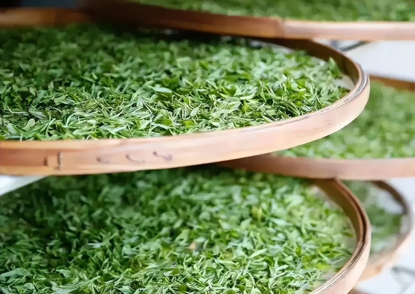 Don't drink tea indiscriminately in summer, be sure to keep in mind ...