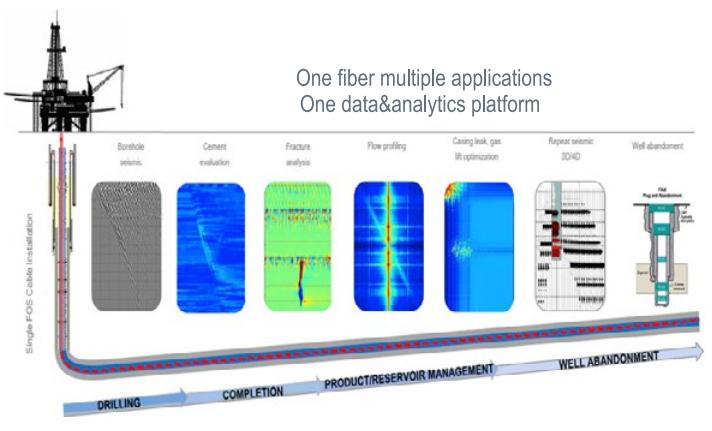 Ubiquitous Hearers - Distributed Optical Fiber Acoustic Sensors - iNEWS