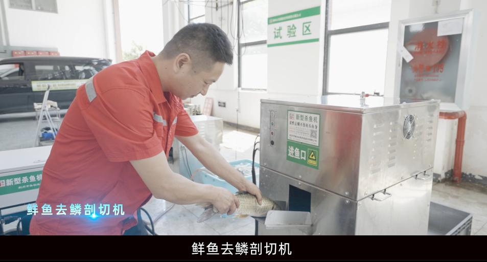 The "fish-killing artifact" made in Jingzhou is worth having in ...