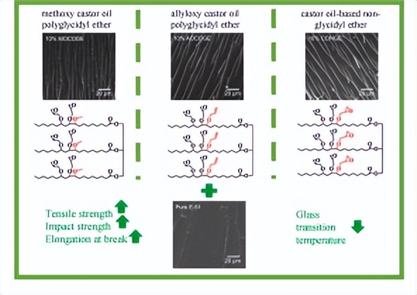 What effect does the catalyst have on the synthesis and curing of epoxy ...