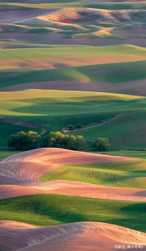 colorful grassland scenery - iMedia