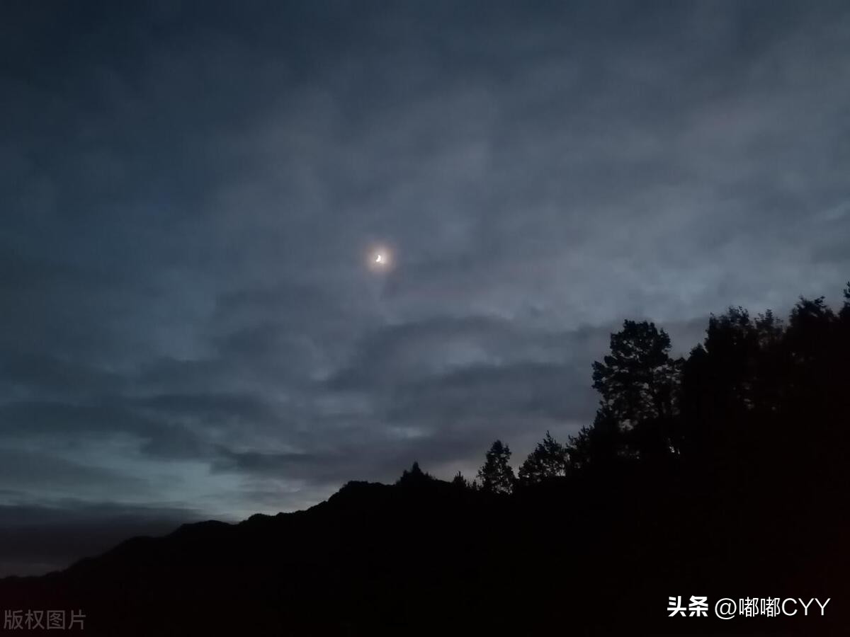 On July 3rd, the quiet and clear rhyme is leisurely, and the bright ...