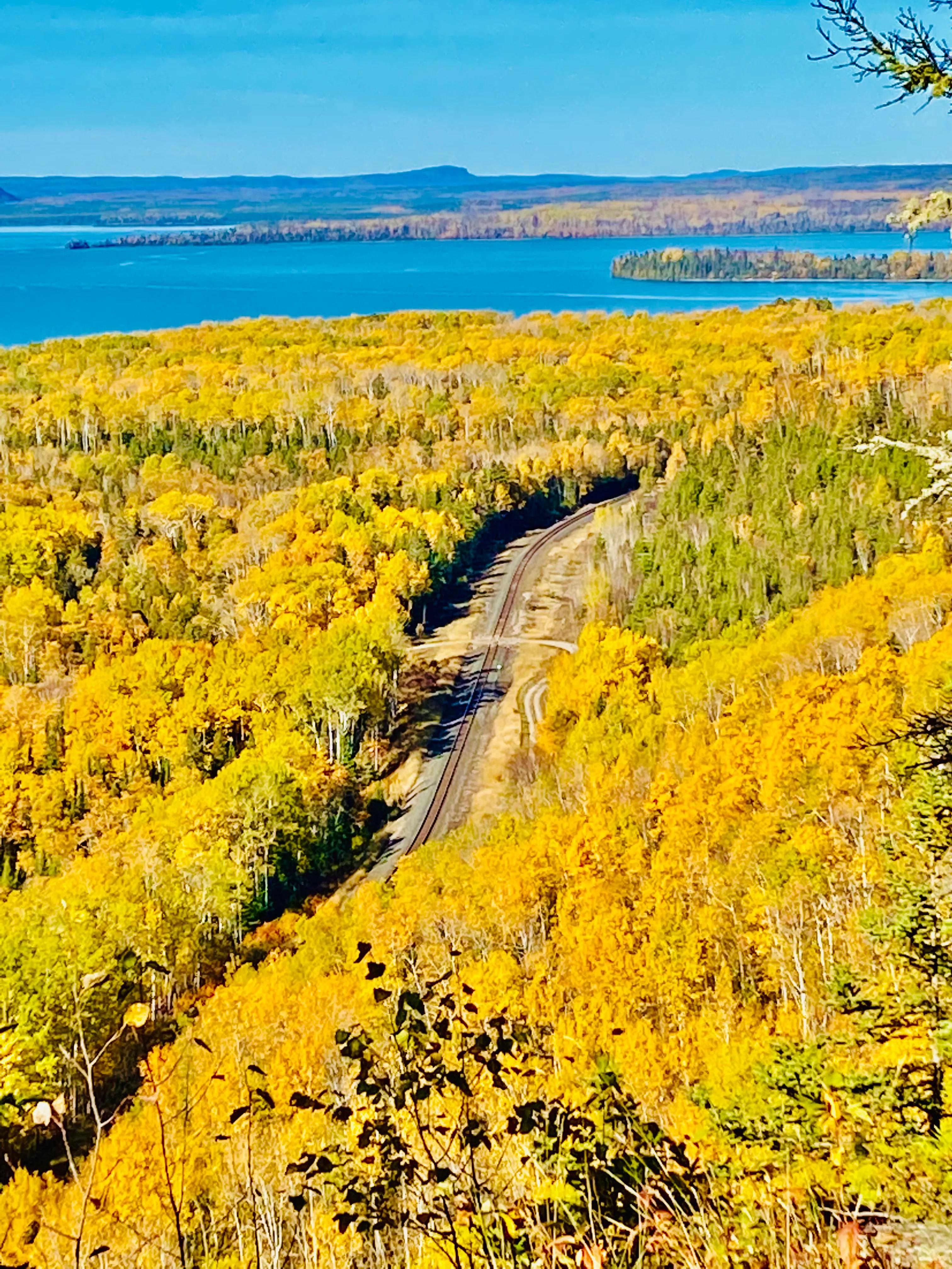 Distinctive bright yellow autumn scenery - iNEWS