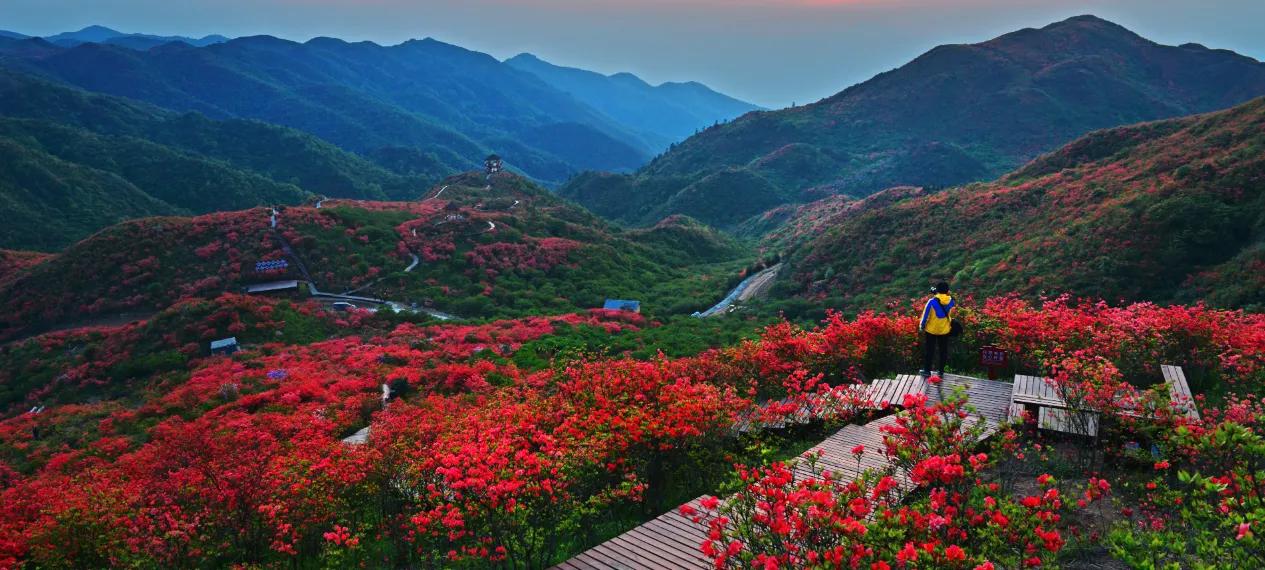 Liuyang Dawei Mountain Raiders - iNEWS