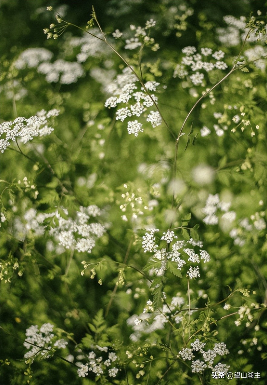 People live in one breath and flow in one breath, forming the world of ...