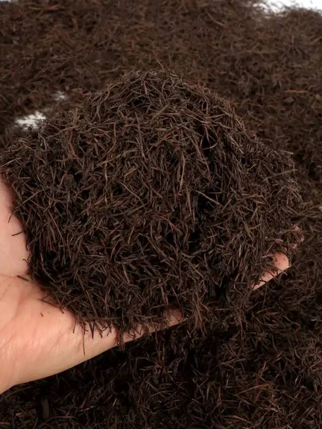 Pick up some free pine needles, and stuff the bag, it's the all-purpose ...