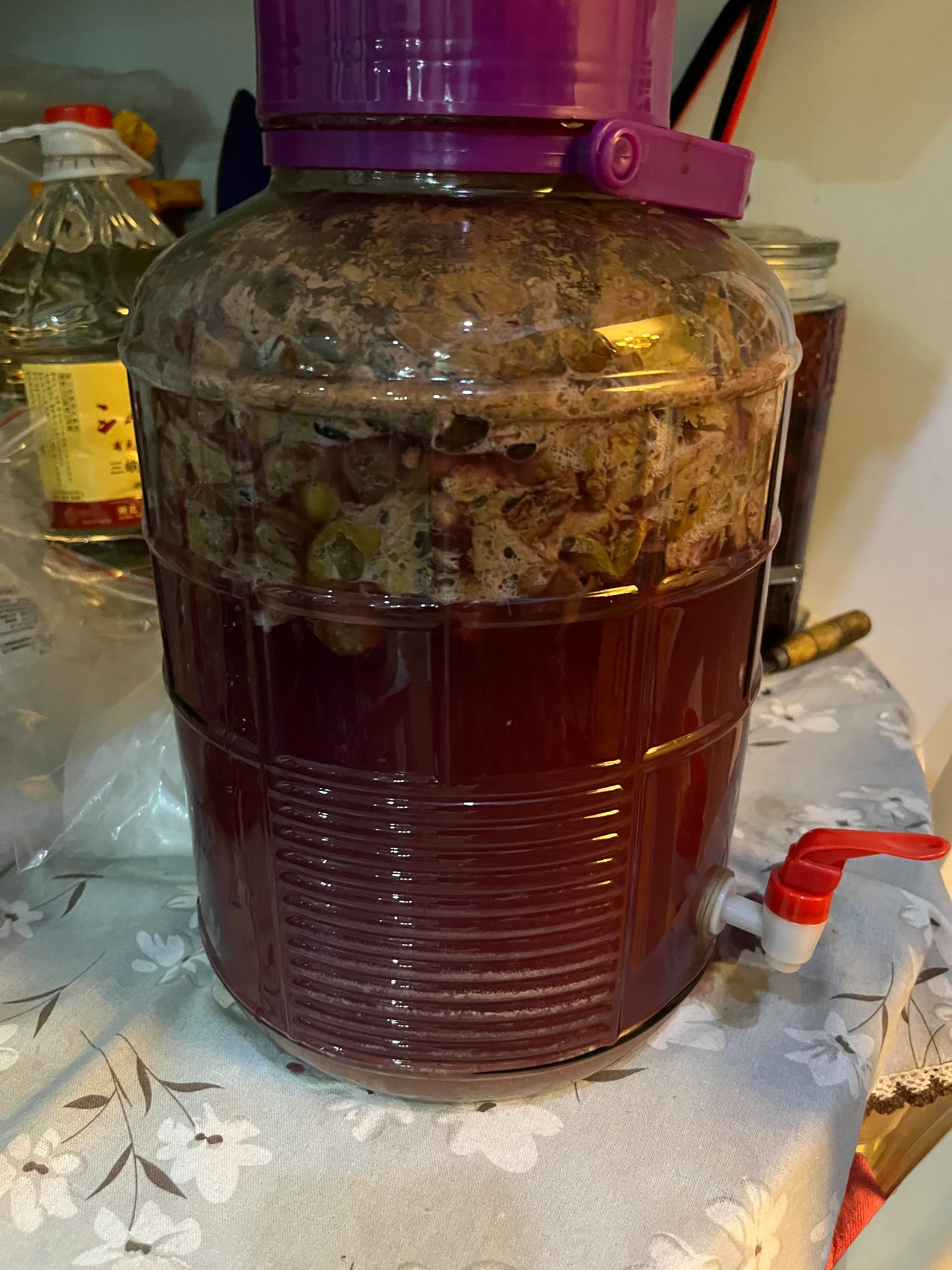 The fourth day effect of home-brewed wine - iNEWS
