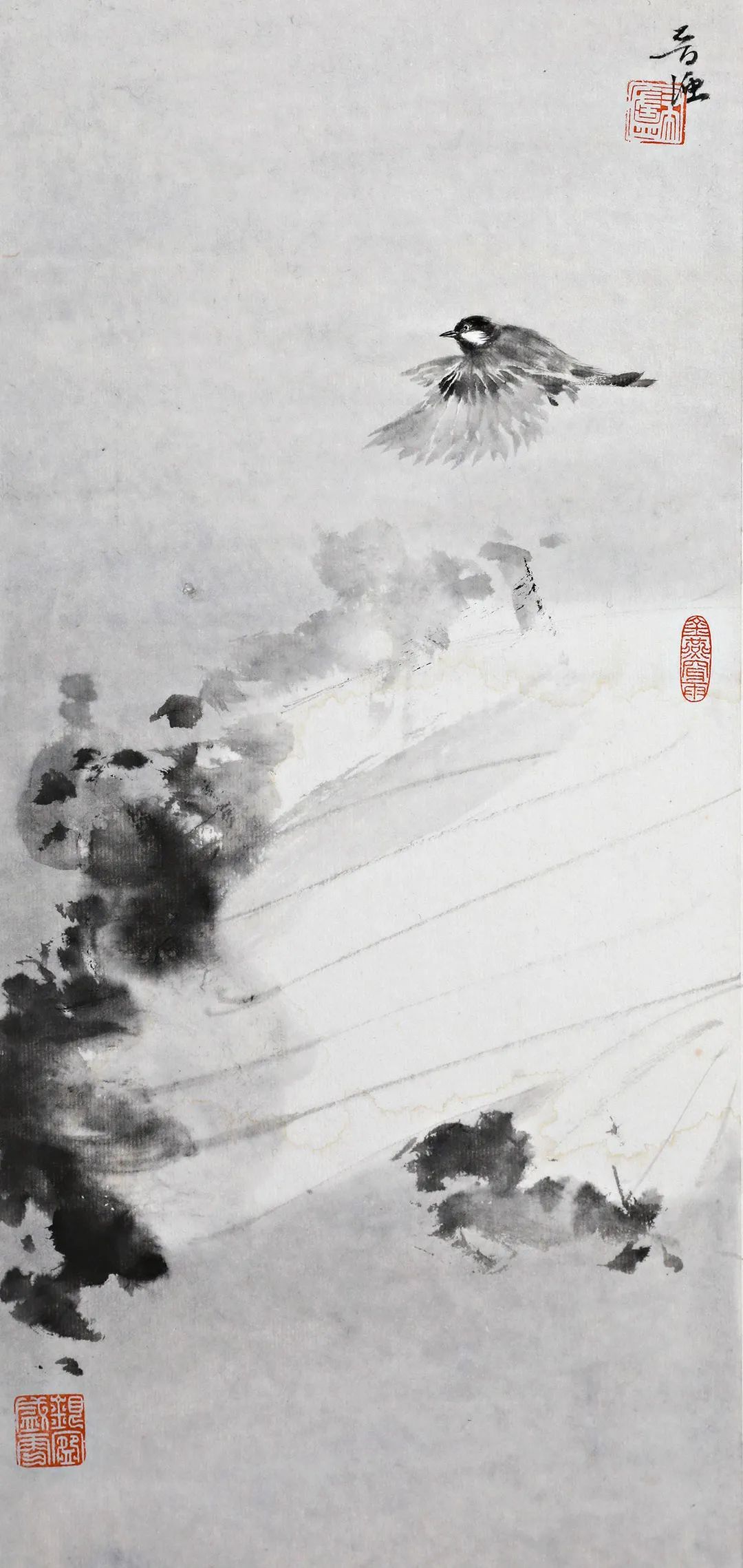 Chen Jinyu: Image of Remnant Lotus - iNEWS