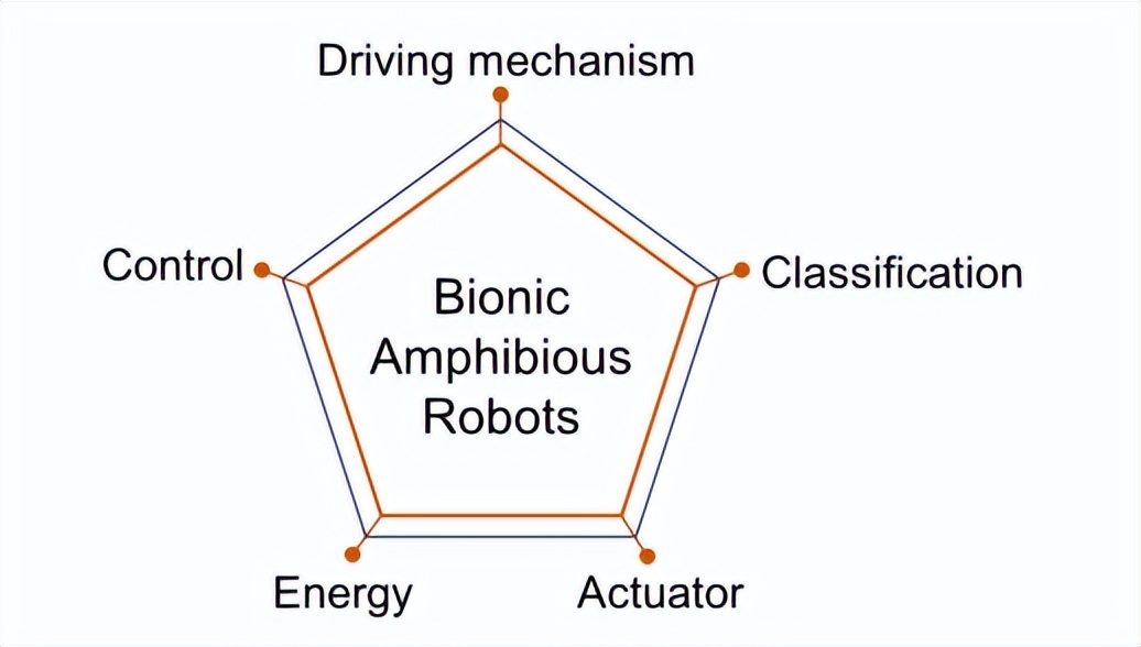 A small talk about bionic amphibious robots - iMedia