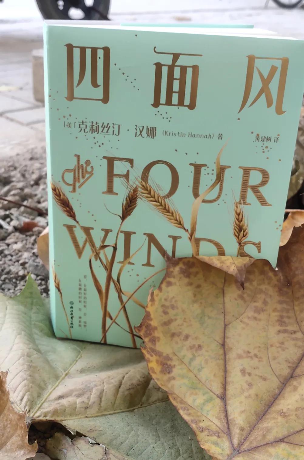 "Four-faced Wind" When life leaks everywhere, I still have the courage ...