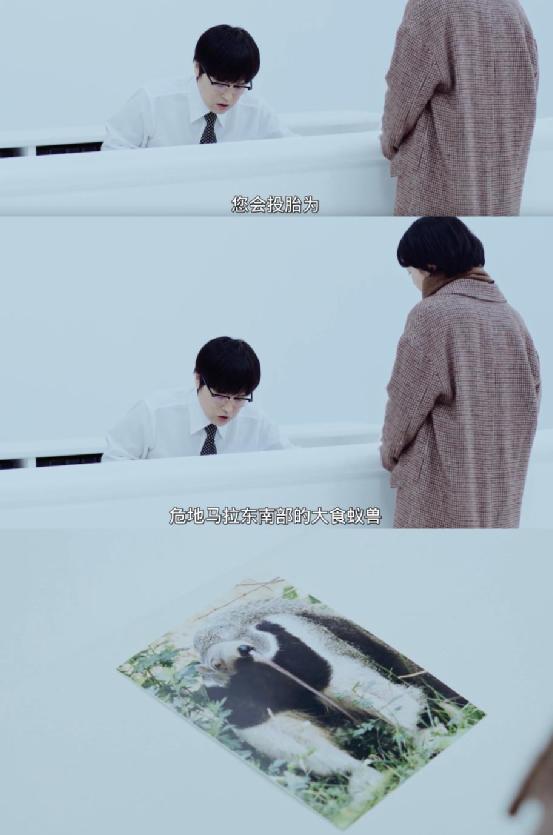 Douban 9.1, the first episode of [Restart Life], the best booking of ...